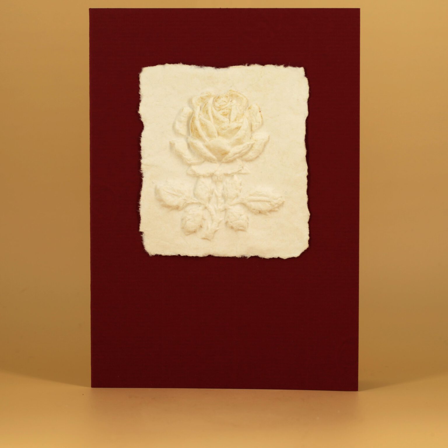 Papier-Relief – Wachsmodel.de